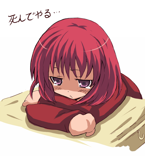 My Experience with a Voice Actress…or, Get Over Yourself, Minorin ...