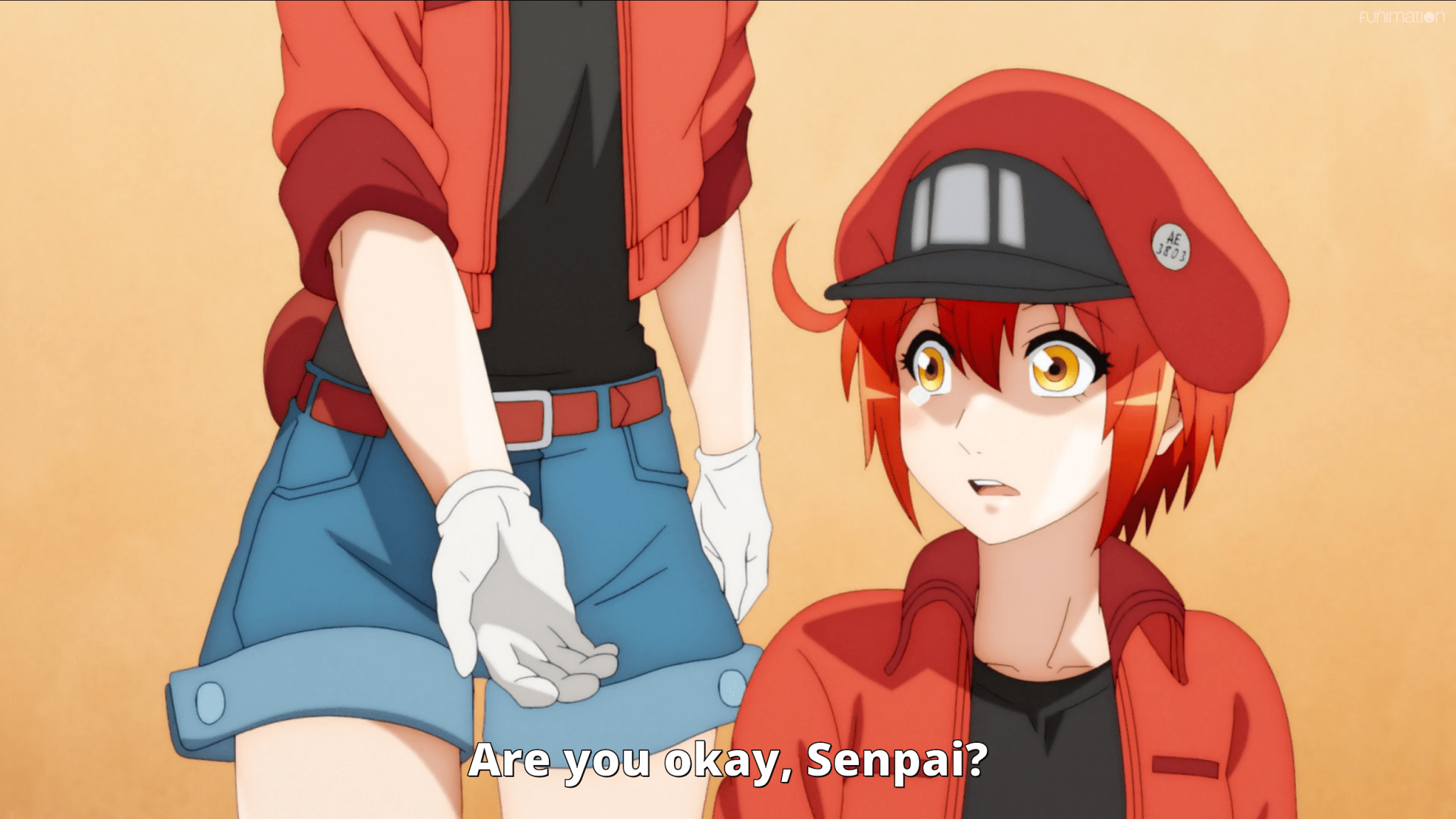 First Impression: Cells At Work!! Season 2 – Beneath the Tangles