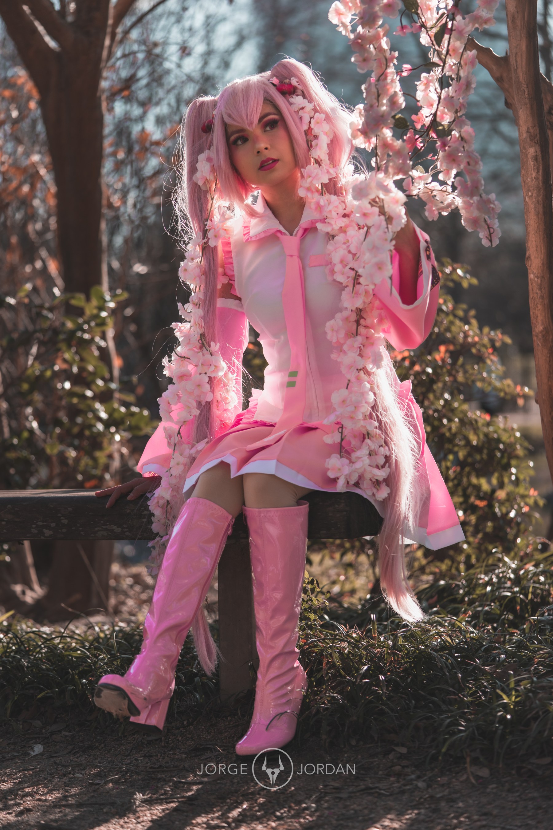 Cosplay Beats The Sakura And Miku Bloom Beneath The Tangles