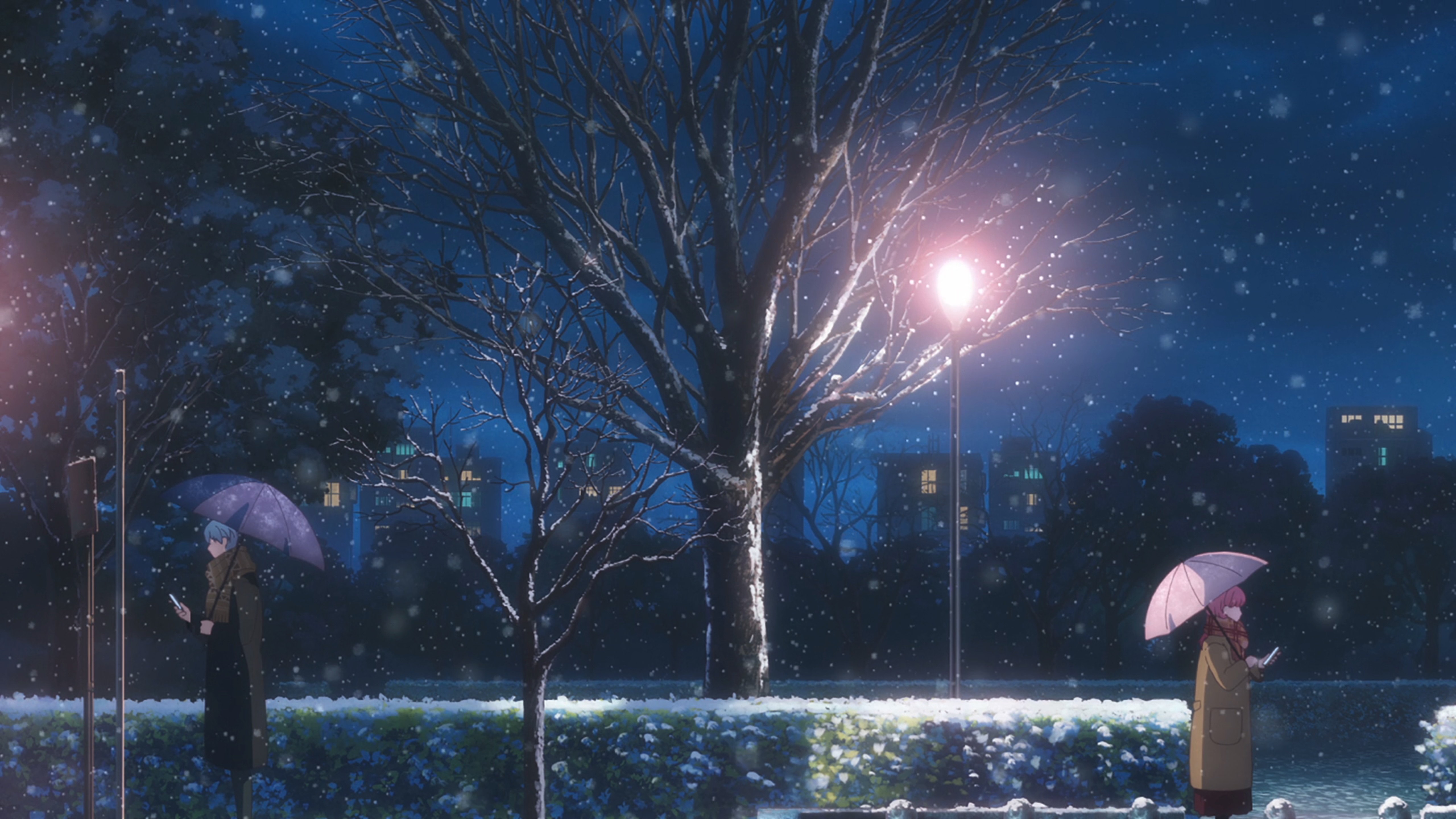 First Impression, Team Edition: A Sign of Affection – Beneath the Tangles